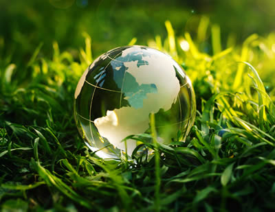 Going Green - Our Effort to become Sustainable – North East Trophies