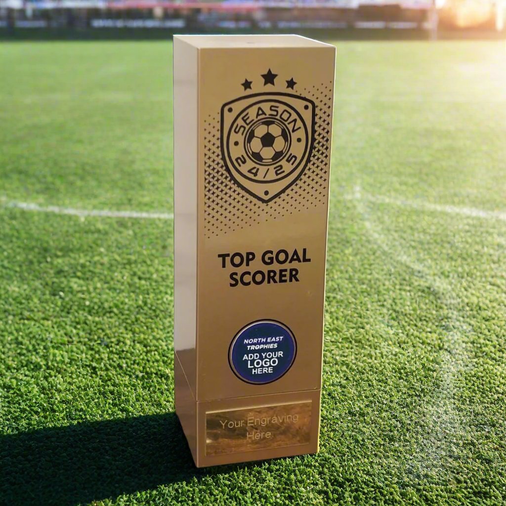 Prodigy Season 24/25 Top Goal Scorer Gold Football Trophy Award – North ...