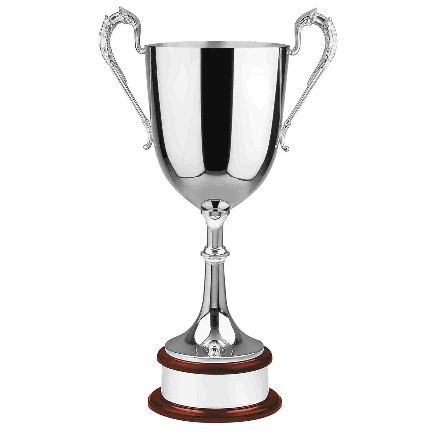Swatkins Revolution Colossal Nickel Plated Award | North East Trophies