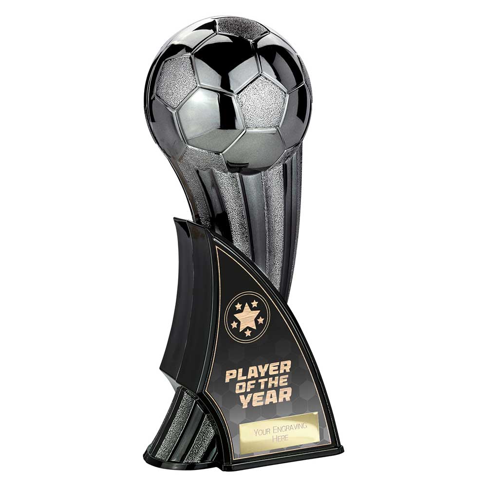 Firestorm Heavyweight Player of the Year Football Trophy Award ...