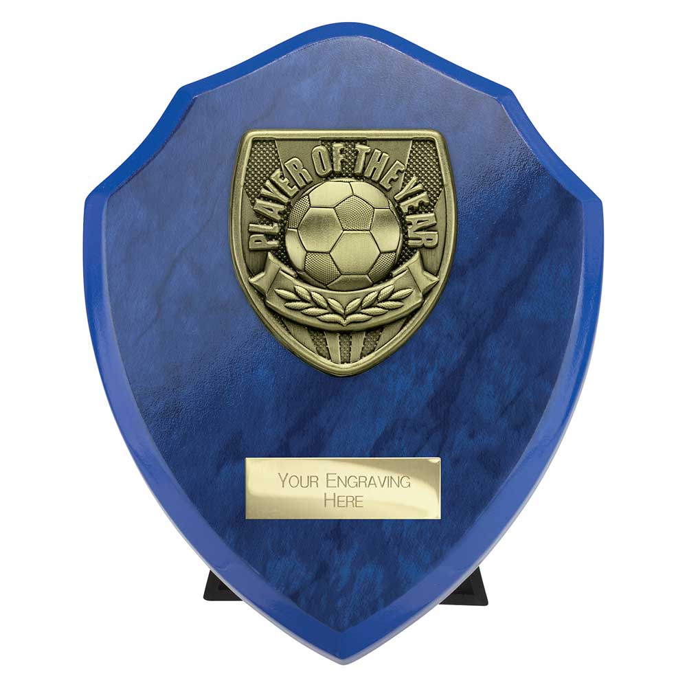 Cobra Plaque Player of the Year Football Trophy Award - Blue | North ...