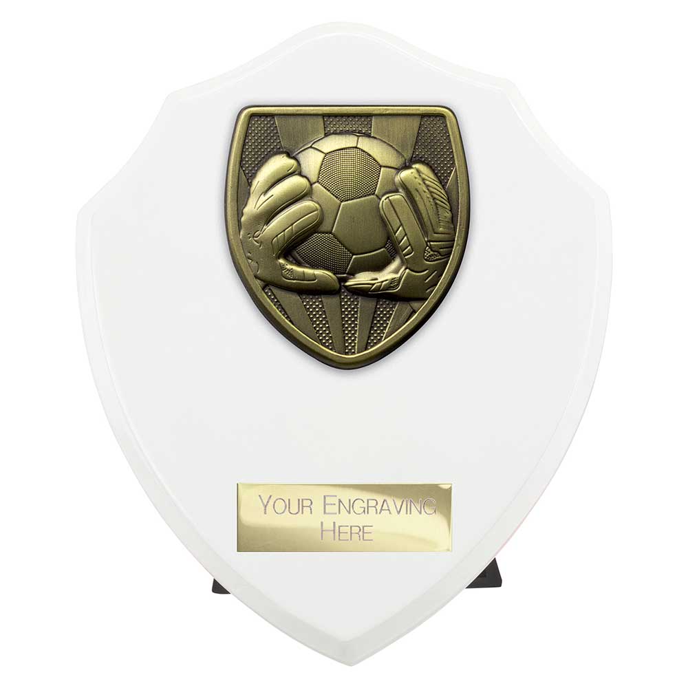 Cobra Football Goal Keeper Award Plaque Trophy - White | North East ...