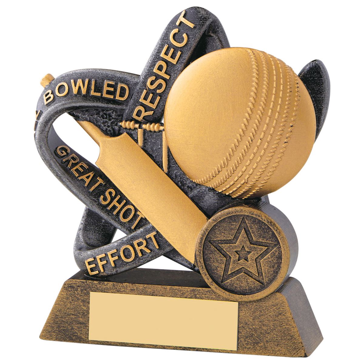 Cricket Values Trophy Infinity Award – North East Trophies