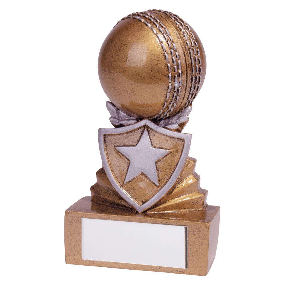Shield Cricket Mini Trophy Award | North East Trophies