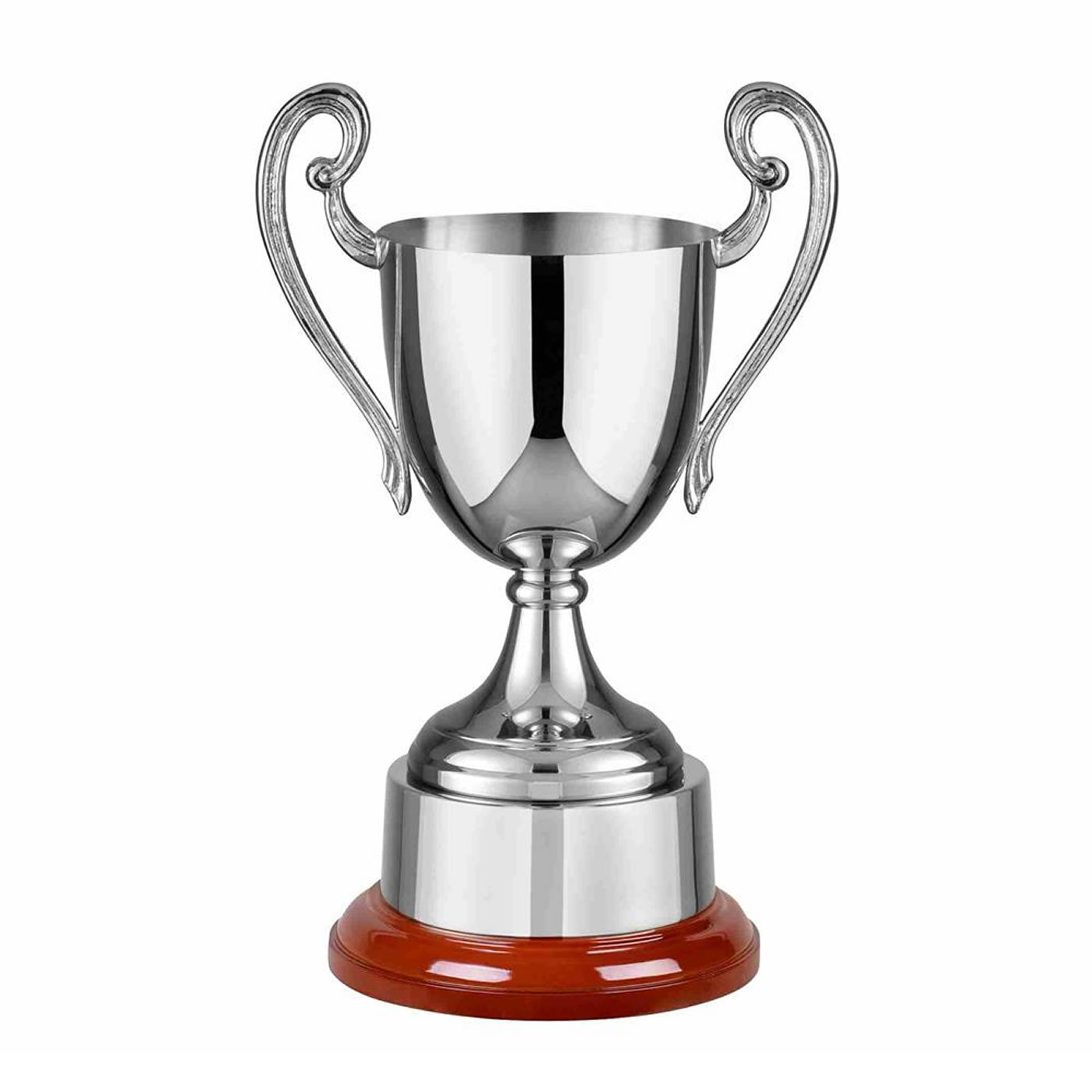 Swatkins Revolution Conquest Nickel Plated Trophy Cup Award | North ...