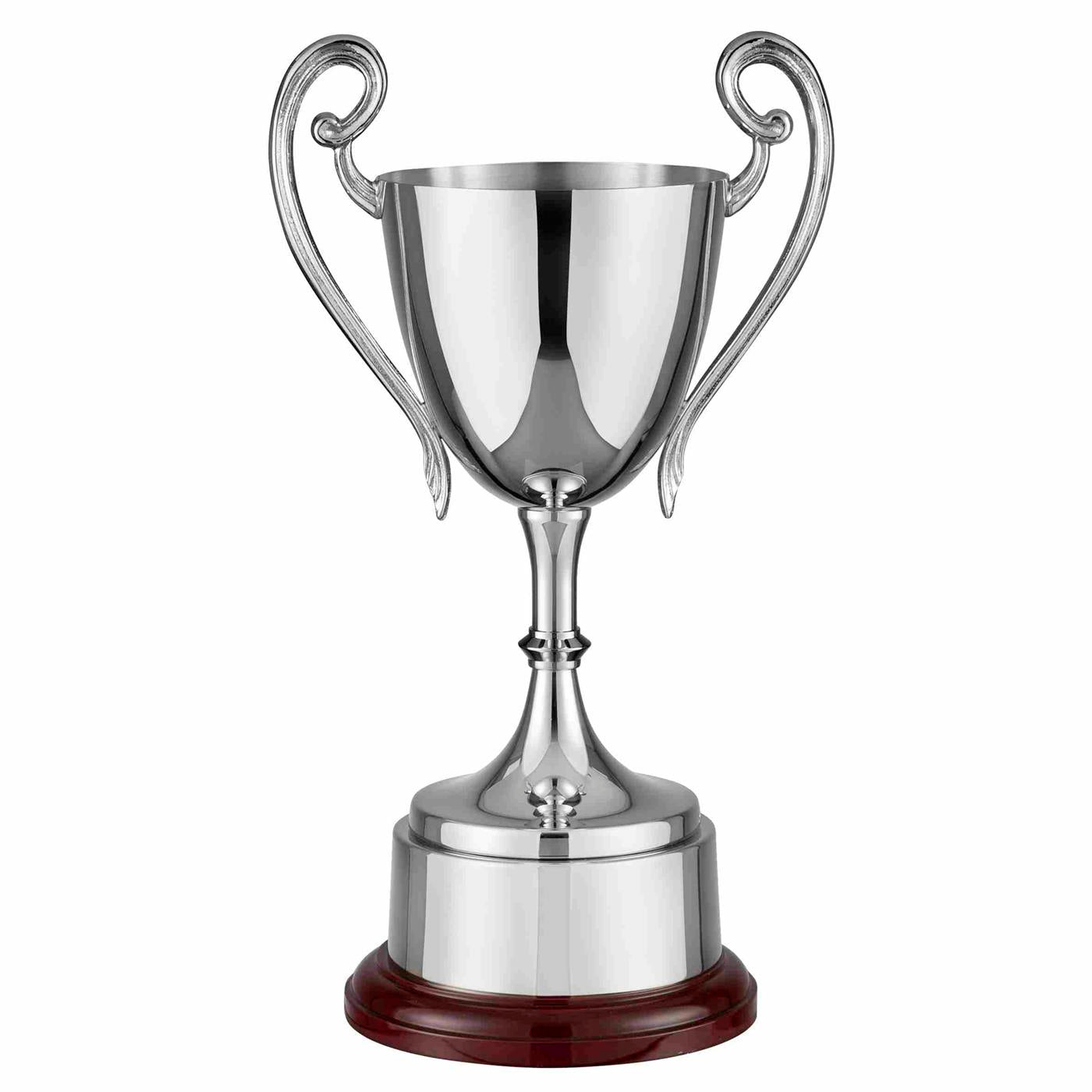 Swatkins Revolution Conquest Nickel Plated Trophy Award | North East ...