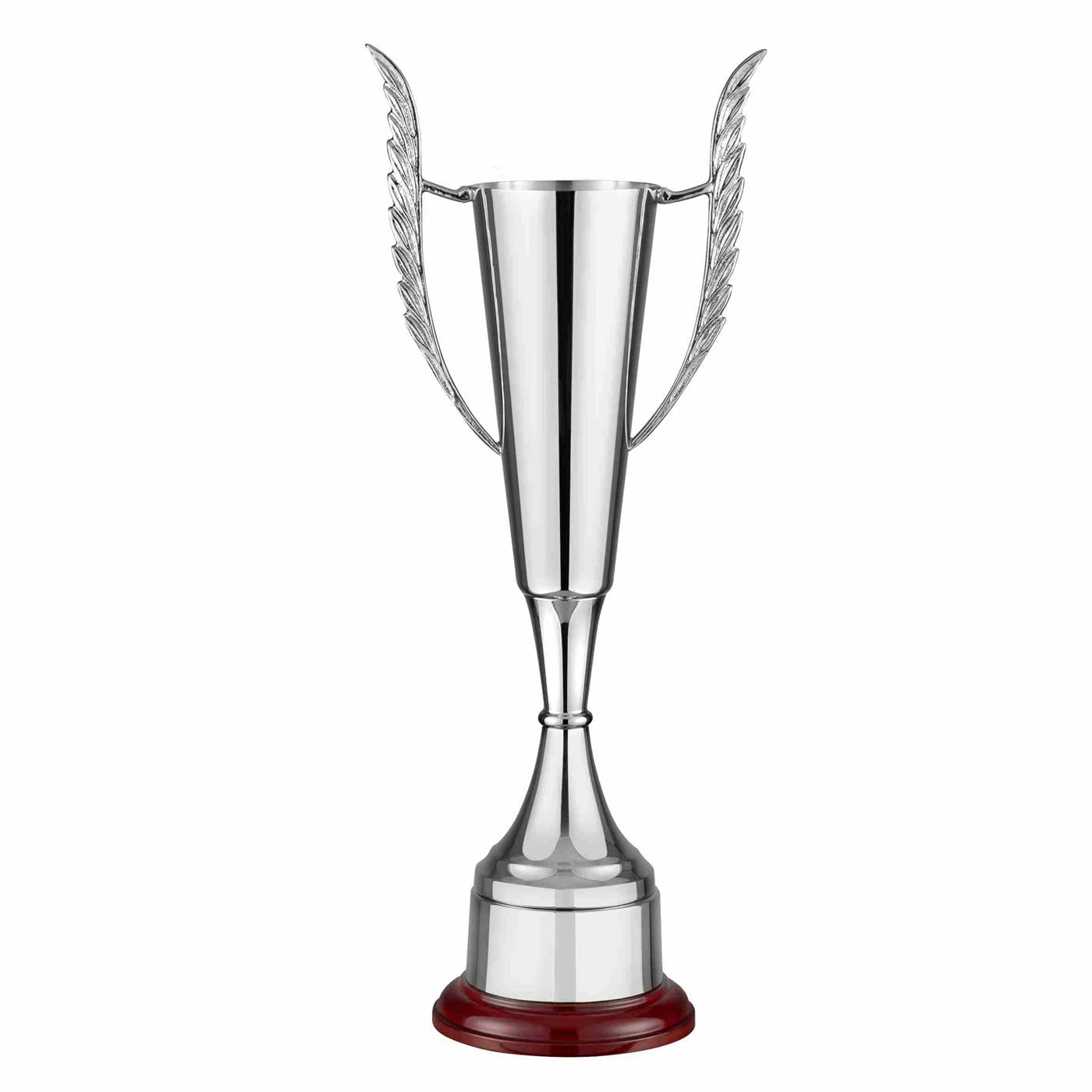 Swatkins Revolution Victory Nickel Plated Trophy Award | North East ...