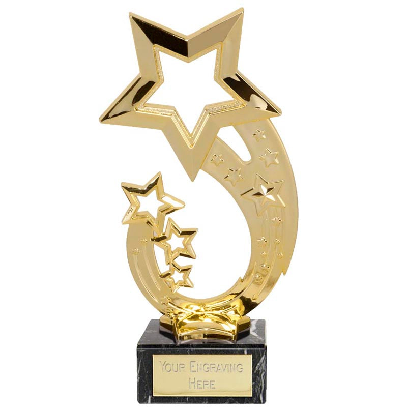 Gold Rising Star Multi Trophy Award – North East Trophies