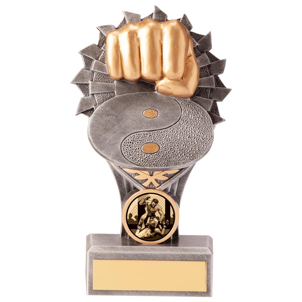 Martial Arts Trophy Falcon Award – North East Trophies