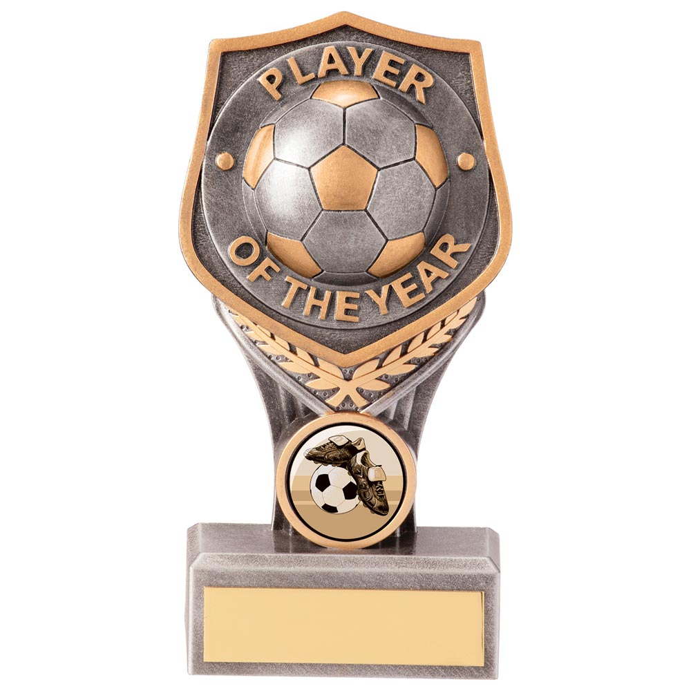 Football Trophy Player of the Year Falcon Award – North East Trophies