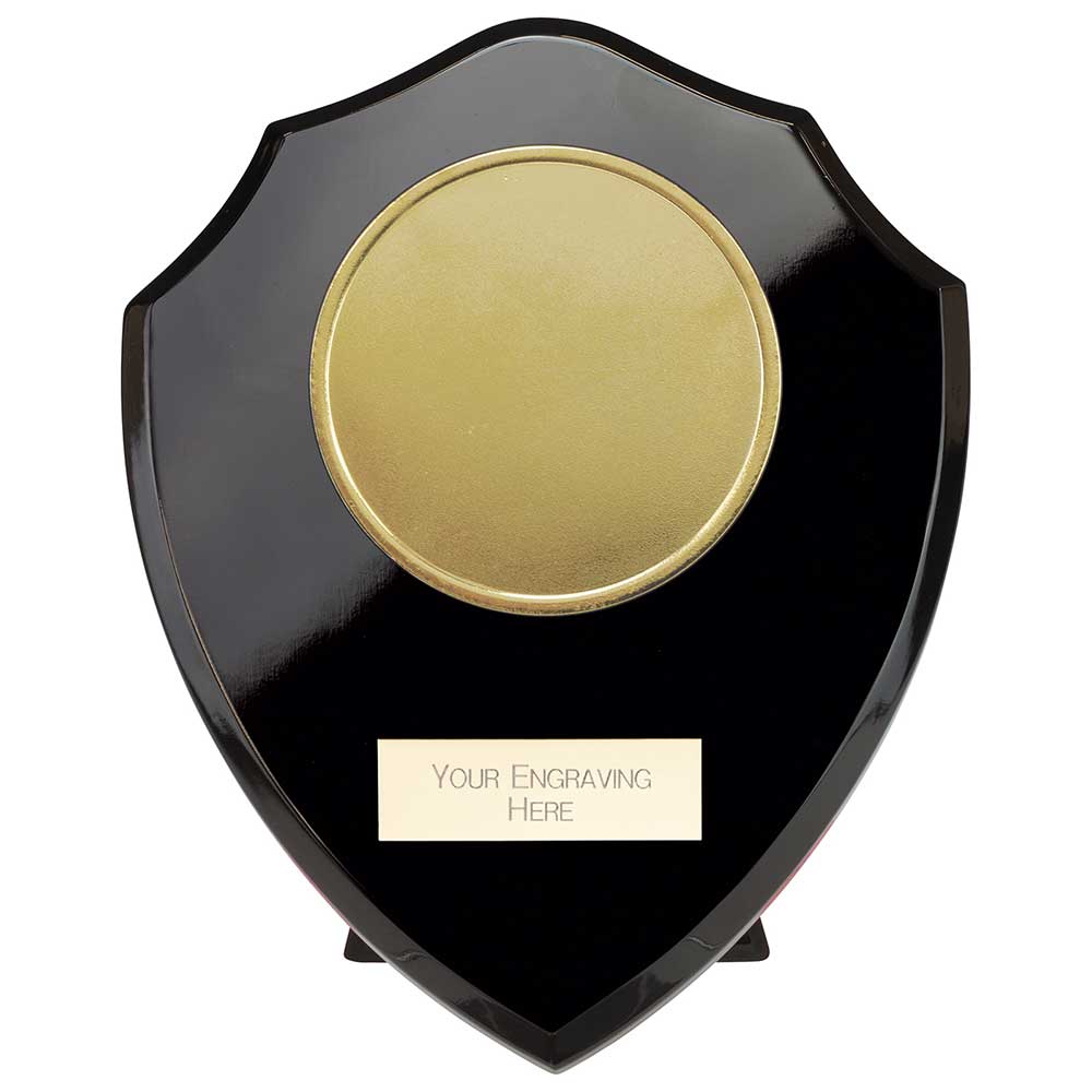 Reward Black Matrix Shield Award Trophy – North East Trophies