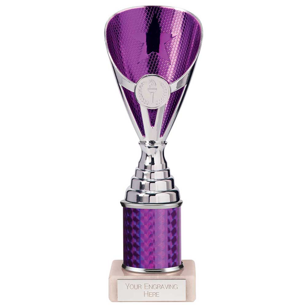 Rising Stars Plastic Trophy in Purple – North East Trophies