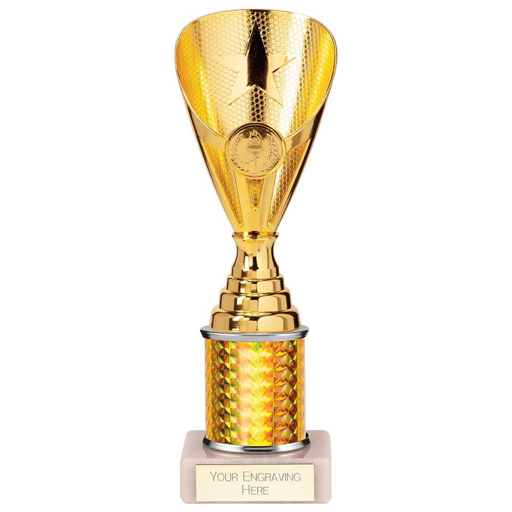 Rising Stars Plastic Trophy in Gold – North East Trophies