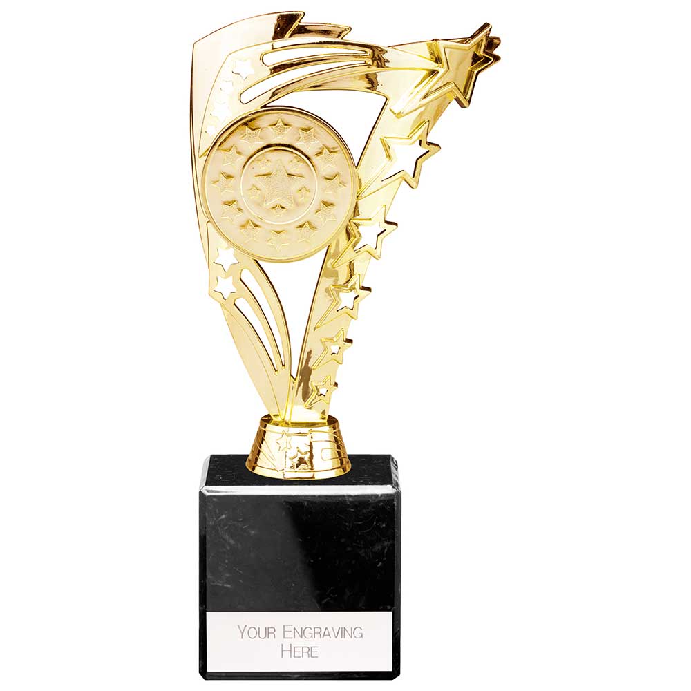 Frenzy Multisport Trophy - Gold – North East Trophies