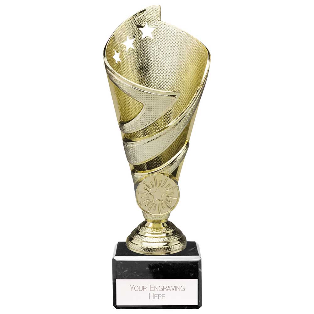 Hurricane Multisport Gold Trophy Cup – North East Trophies